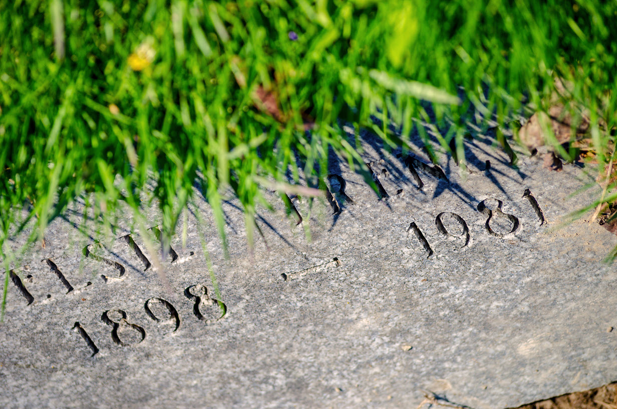 The Dash - Tightknit | Family: Connected